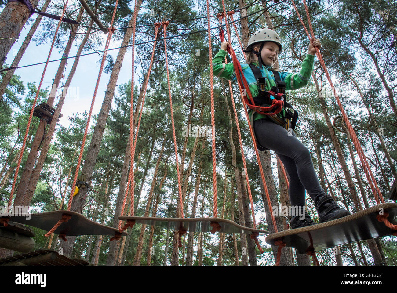 Treetop High Resolution Stock Photography and Images - Alamy