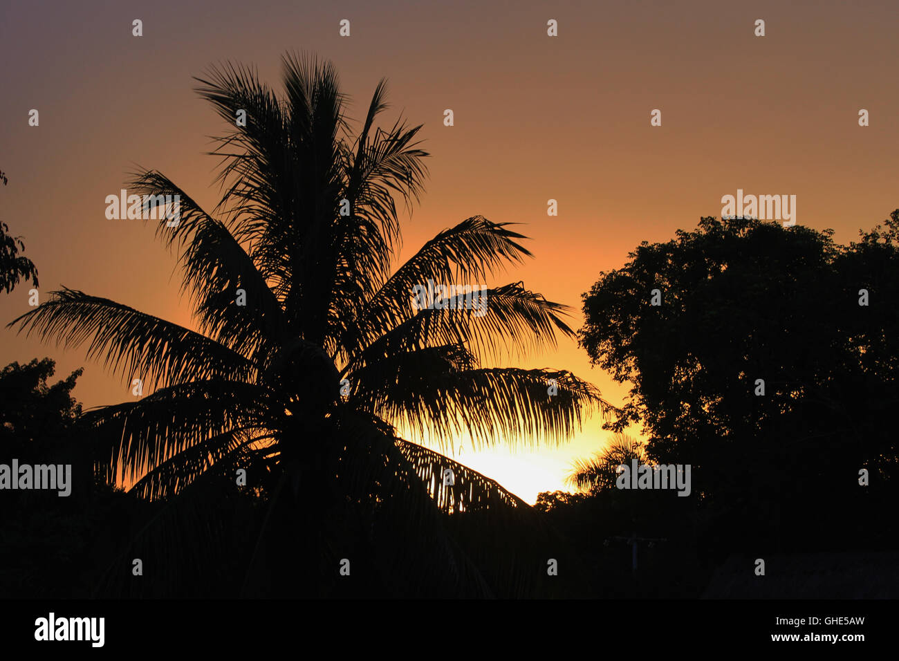 Palenque mexico sunset hi-res stock photography and images - Alamy