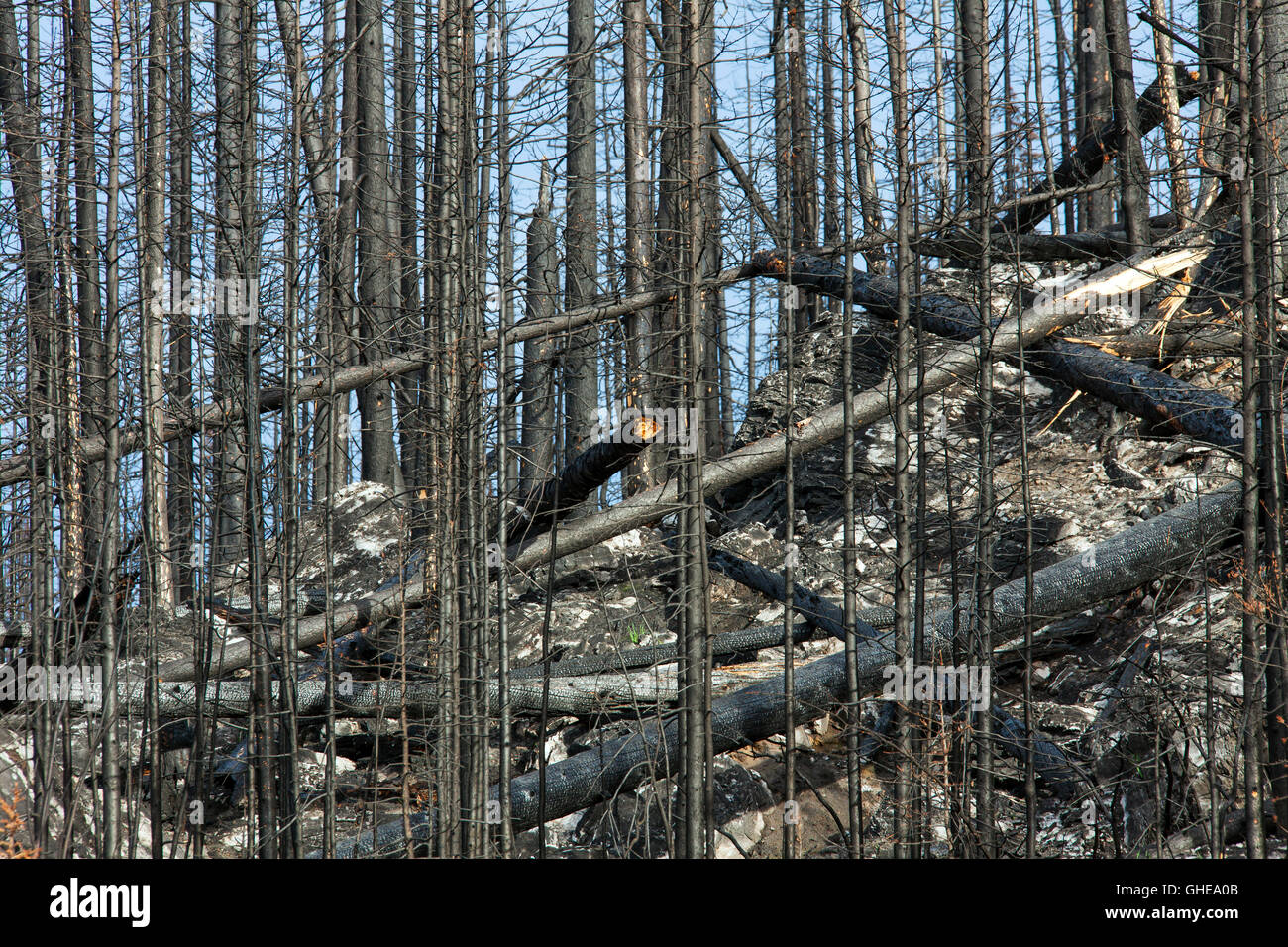 Slope fire hi-res stock photography and images - Alamy