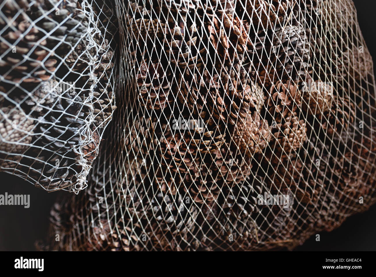 mesh filled with cones Stock Photo - Alamy
