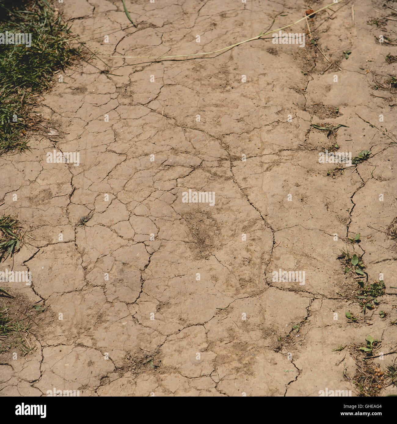 Let's save the earth. Crack soil on dry season, Global worming effect ...
