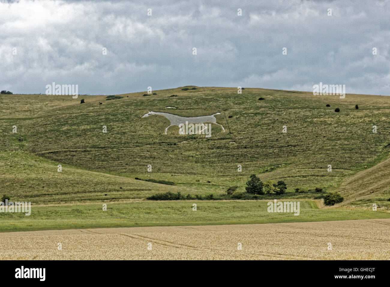 White horse at Alton Barnes in Wiltshire Stock Photo - Alamy