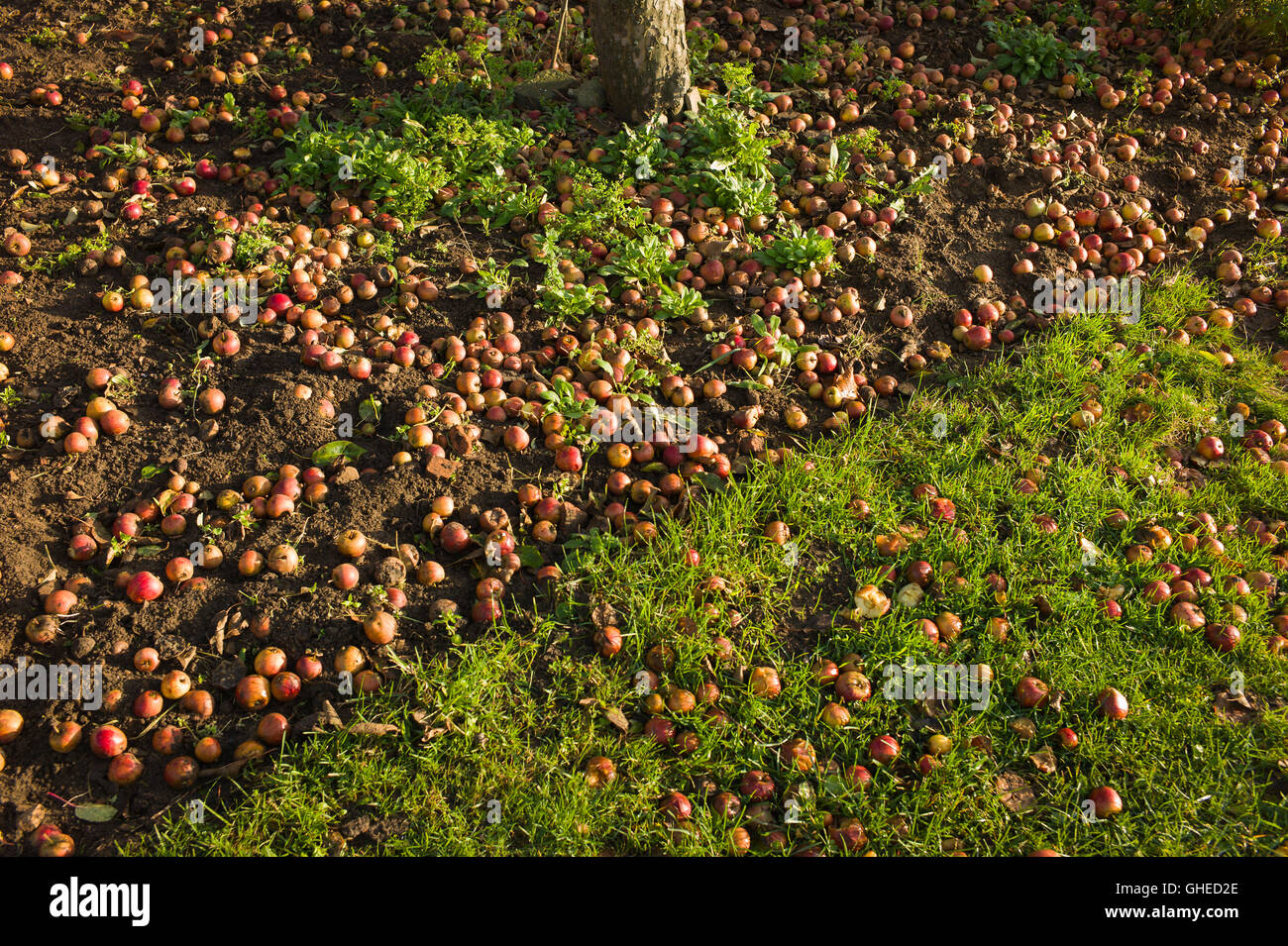 Fallings hi-res stock photography and images - Alamy