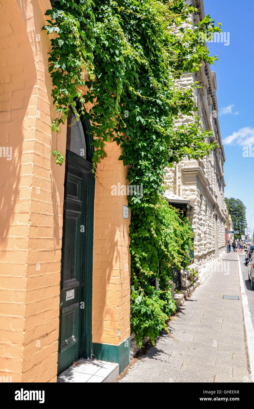 Western wall green door hi-res stock photography and images - Alamy