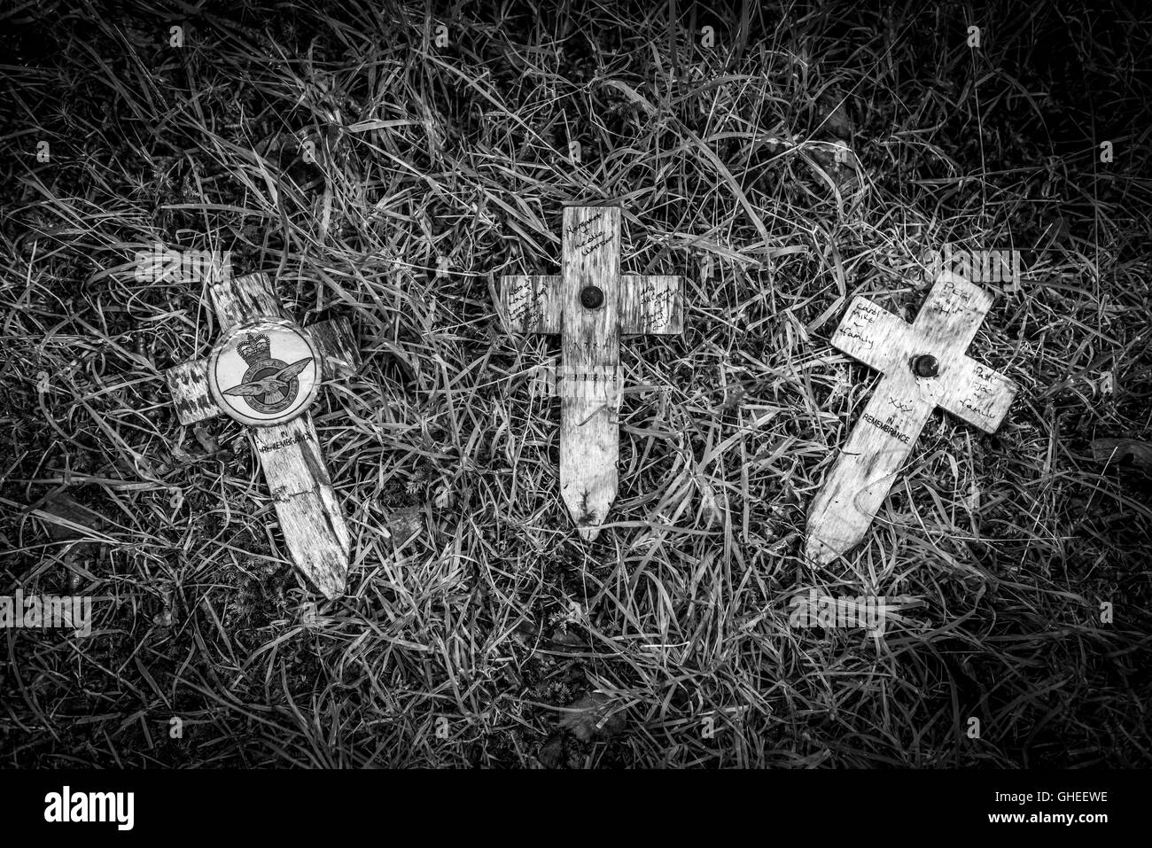 The Remembrance Crosses High Resolution Stock Photography and Images ...
