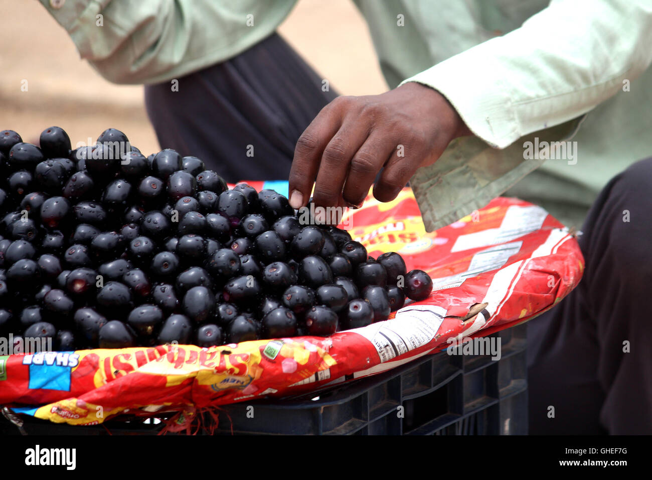 A local vendor selling Jamun(Java plum) fruit Stock Photo - Alamy