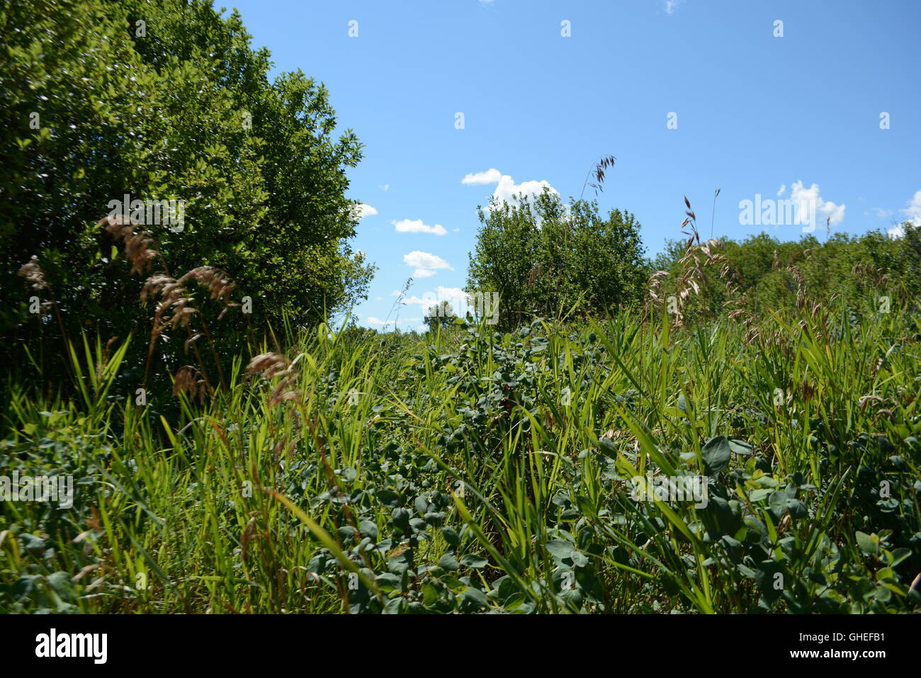 A beautiful afternoon in Police Point Park Stock Photo - Alamy