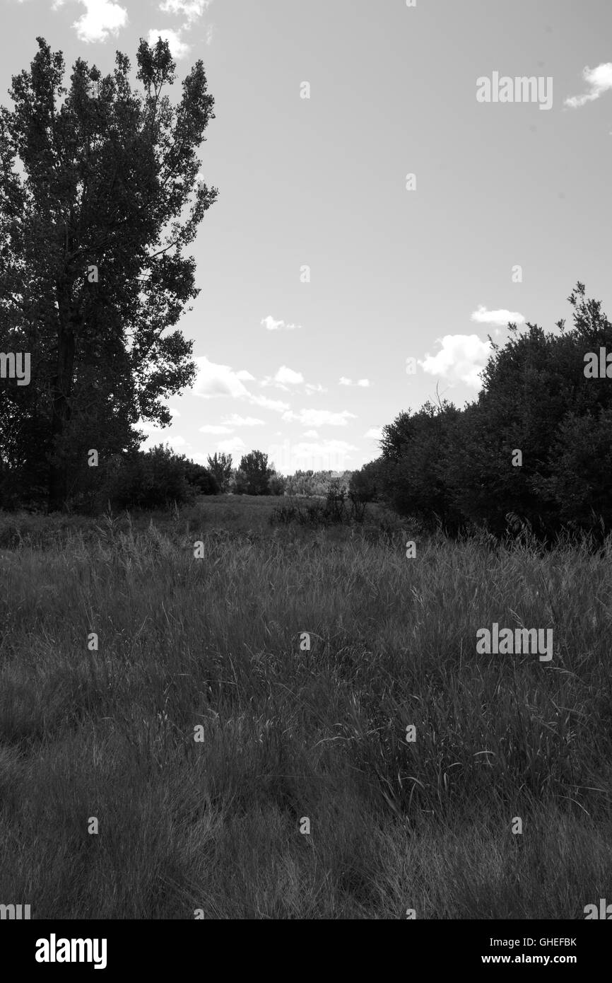 Black and Whites in Police Point Park Stock Photo - Alamy