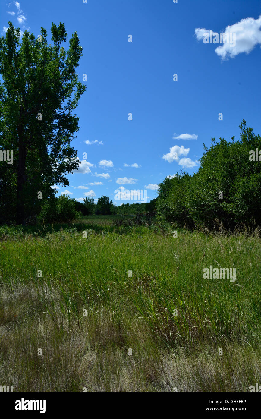A beautiful afternoon in Police Point Park Stock Photo - Alamy