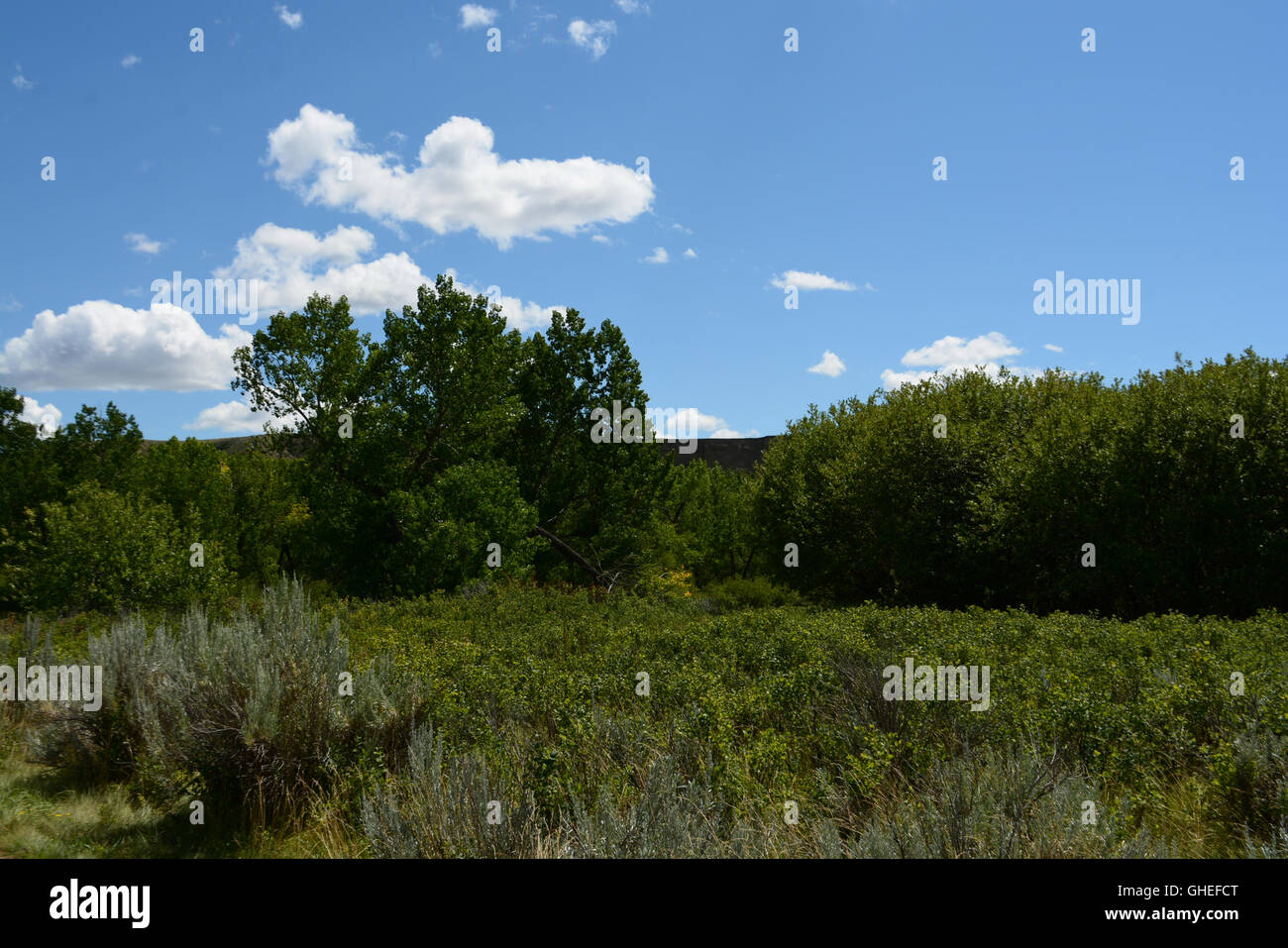 A beautiful afternoon in Police Point Park Stock Photo - Alamy