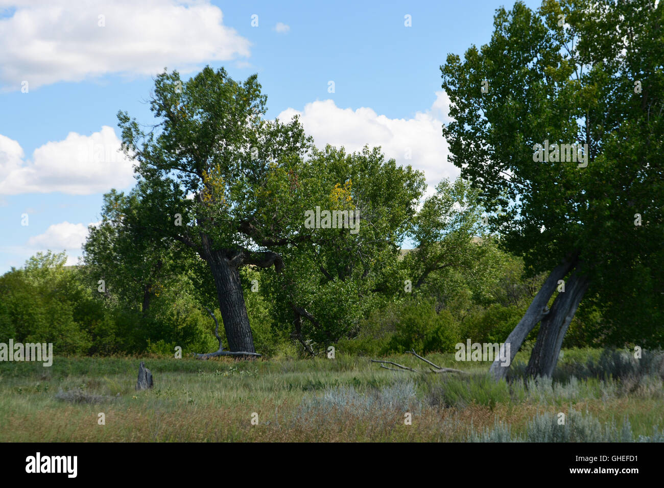 A beautiful afternoon in Police Point Park Stock Photo - Alamy