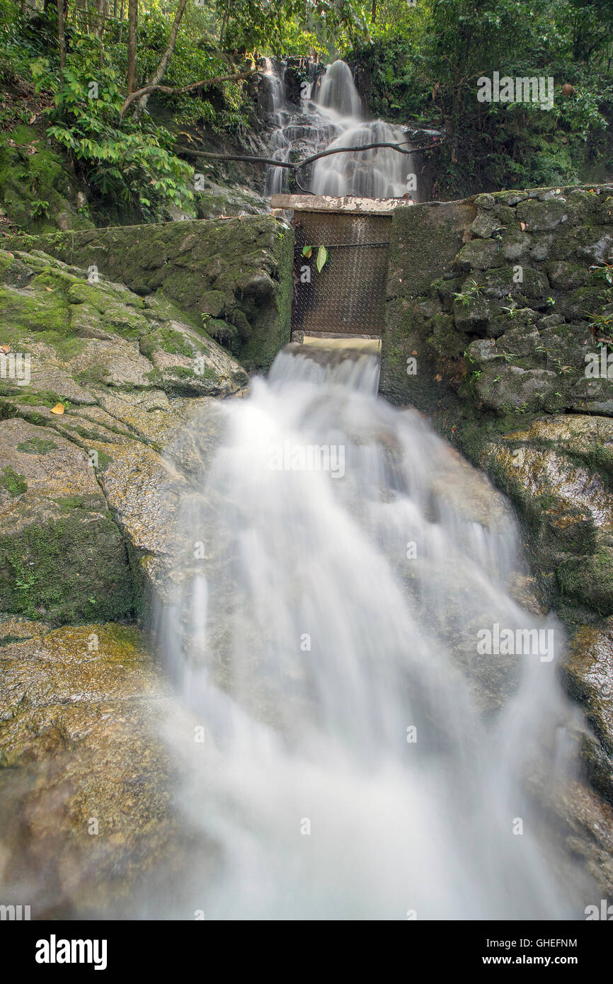 Waterfall in the deep rain forest in Malaysia Stock Photo - Alamy