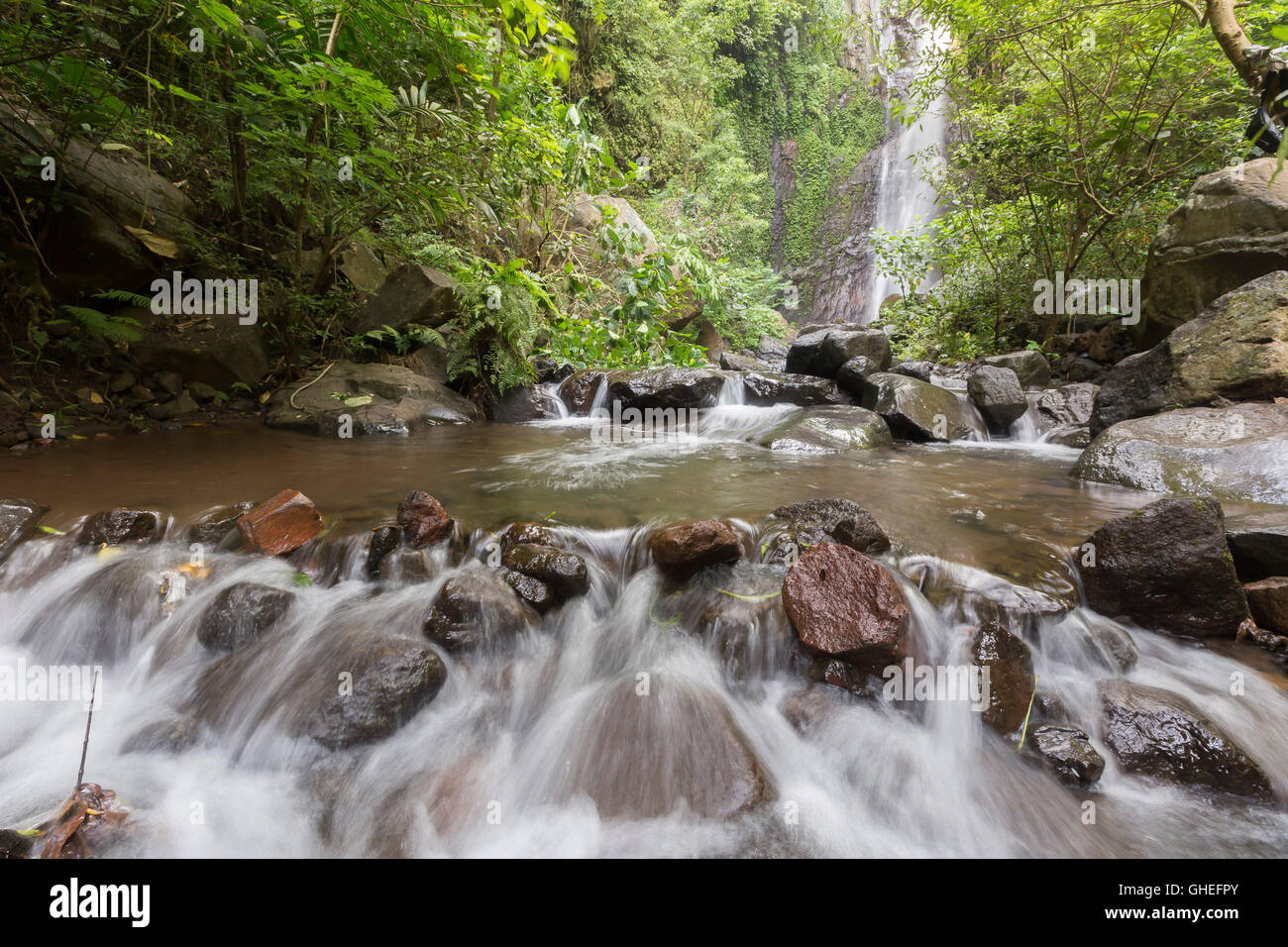 Waterfall in the deep rain forest in Malaysia Stock Photo - Alamy