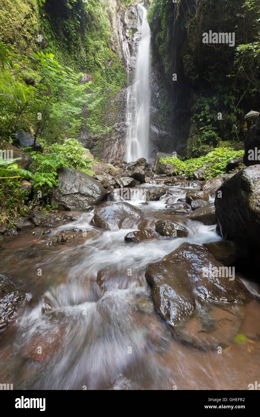 Waterfall in the deep rain forest in Malaysia Stock Photo - Alamy