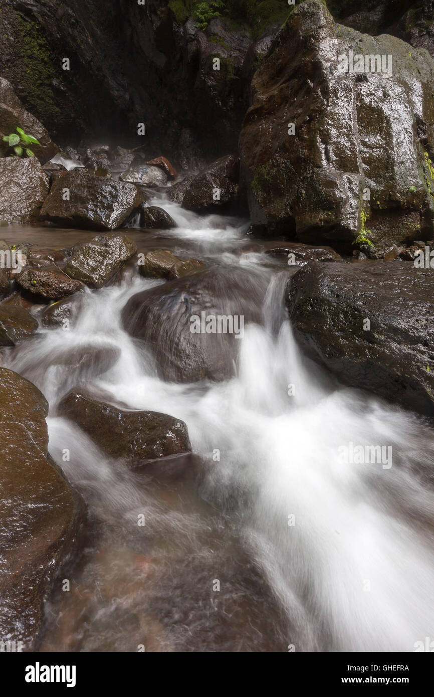Waterfall in the deep rain forest in Malaysia Stock Photo - Alamy