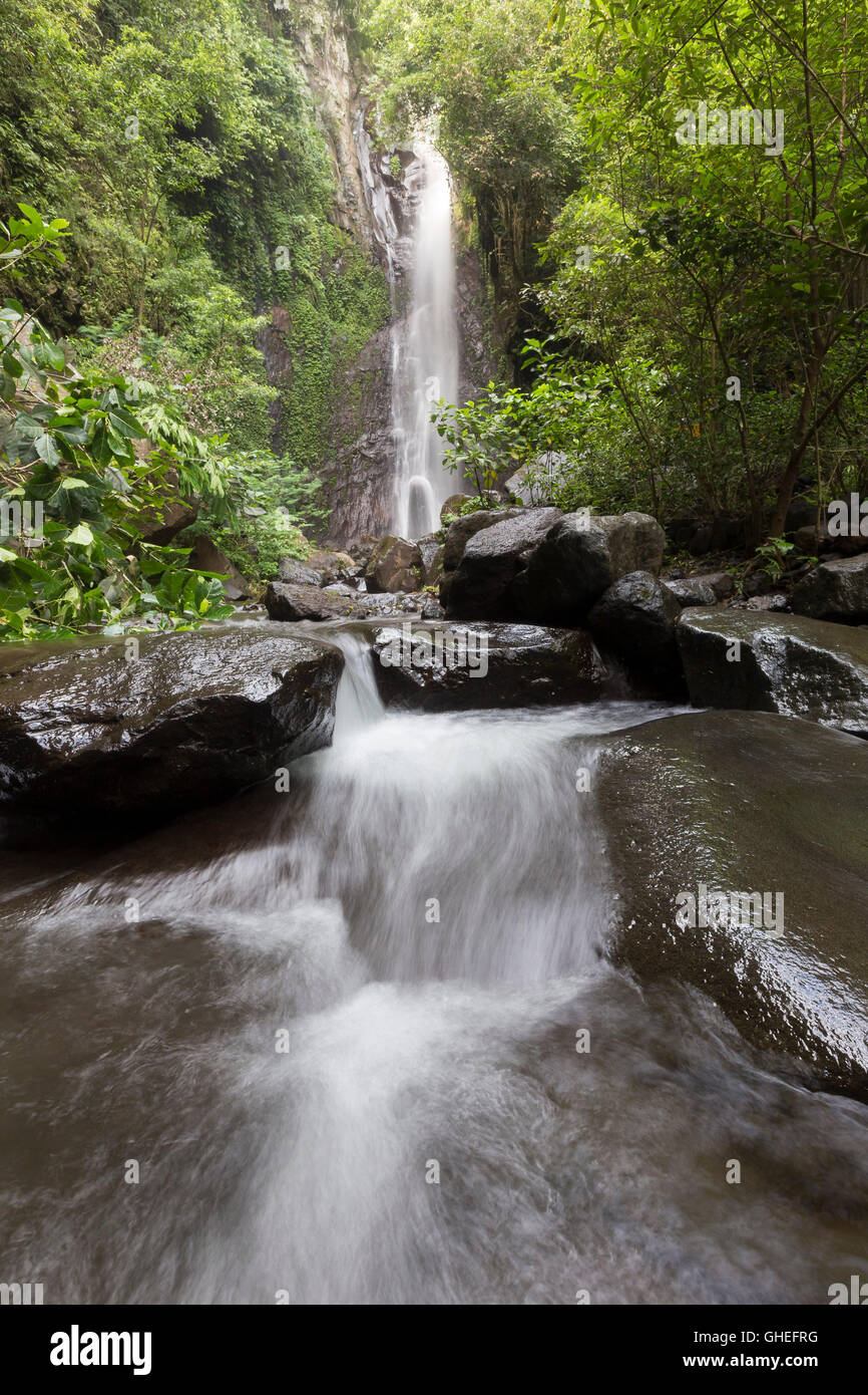 Waterfall in the deep rain forest in Malaysia Stock Photo - Alamy