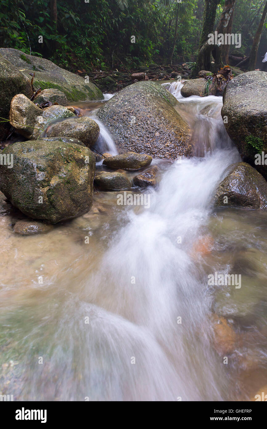 Waterfall in the deep rain forest in Malaysia Stock Photo - Alamy