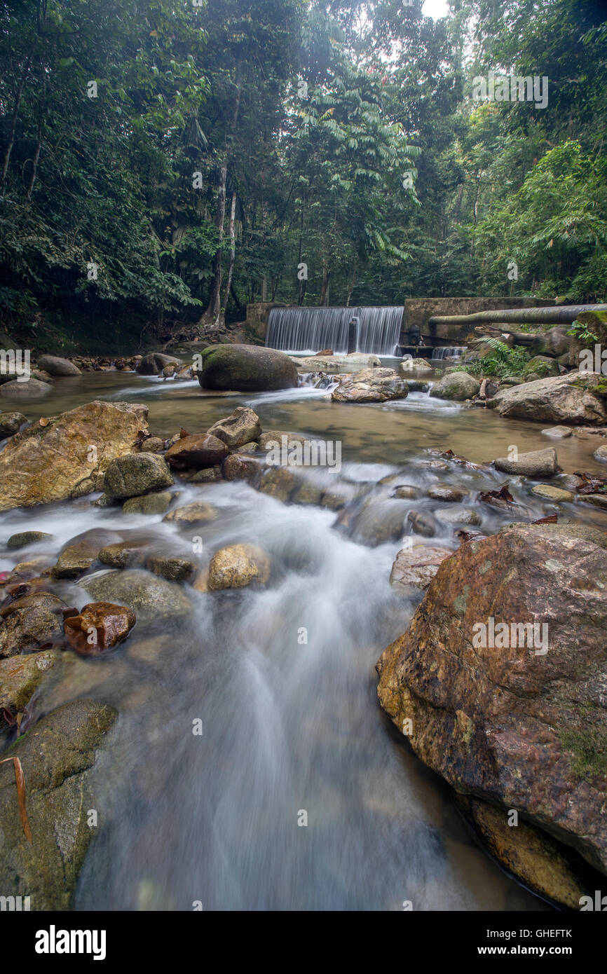 Waterfall in the deep rain forest in Malaysia Stock Photo - Alamy