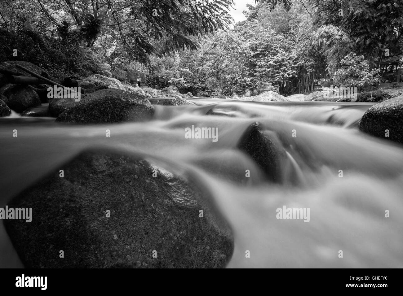 Waterfall in the deep rain forest in Malaysia Stock Photo - Alamy