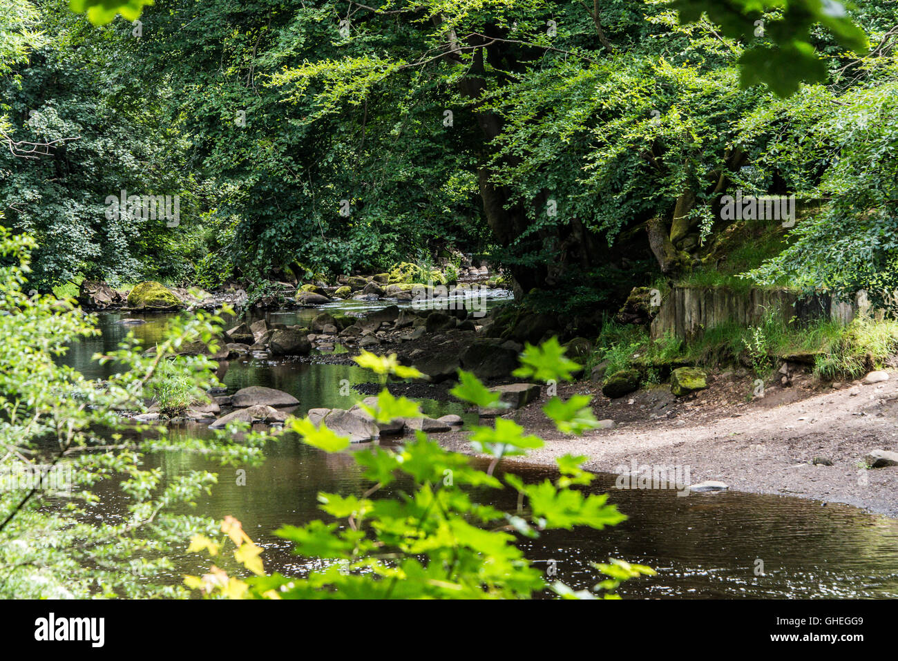The river Almond, Livingston, West Lothian, Scotland Stock Photo - Alamy