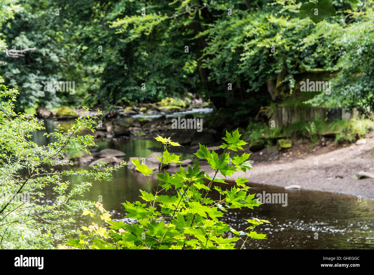 The river Almond, Livingston, West Lothian, Scotland Stock Photo - Alamy