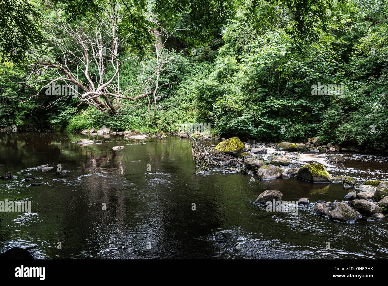 The River Almond, West Lothian, Scotland Stock Photo - Alamy