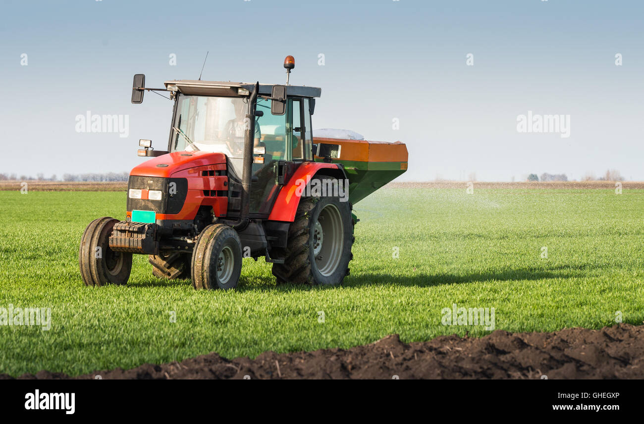tractor fertilizing in wheat field Stock Photo - Alamy