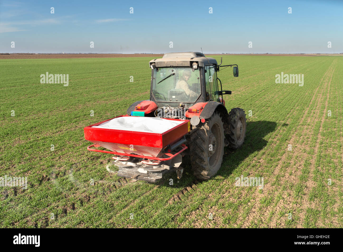 tractor fertilizing in wheat field Stock Photo - Alamy