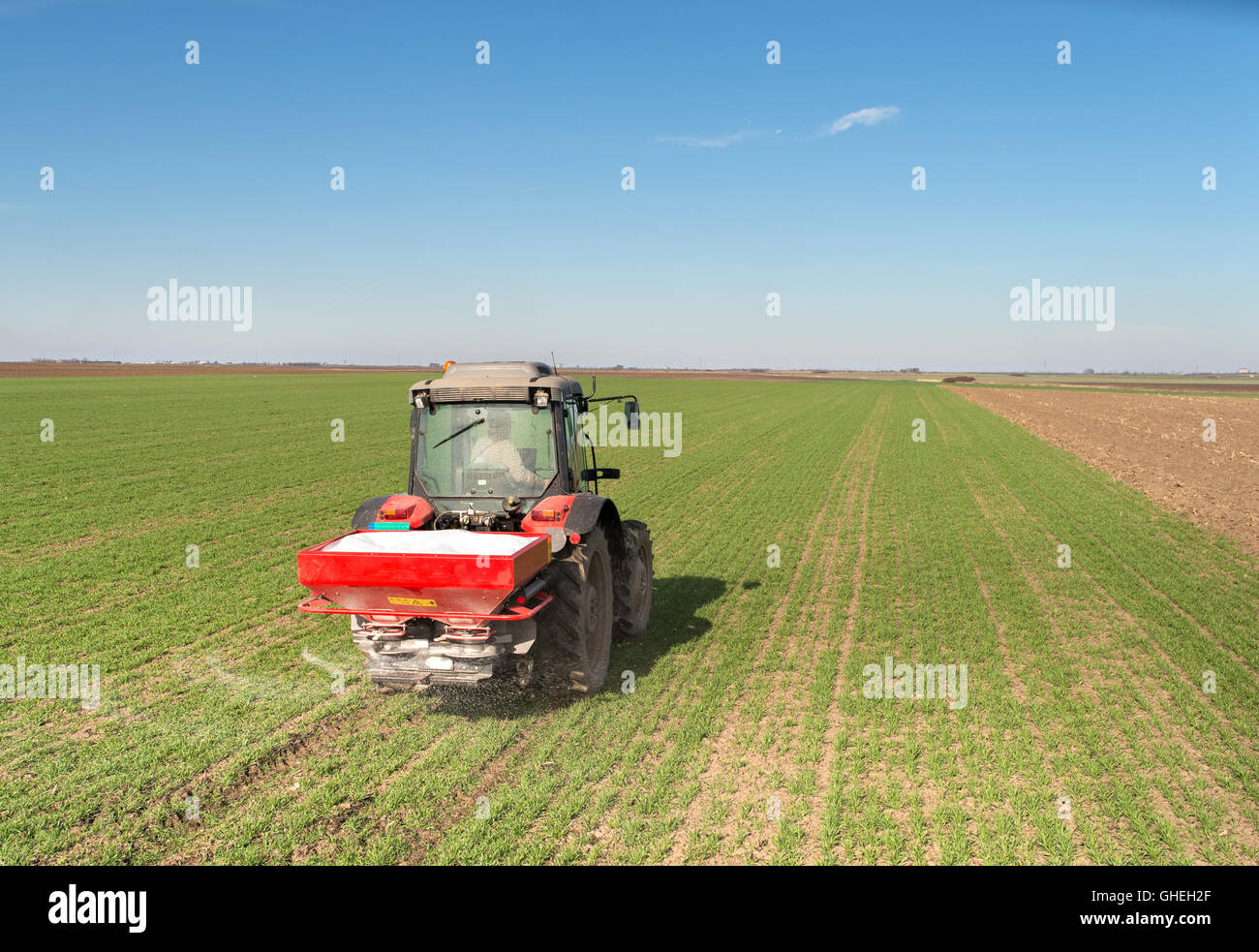 tractor fertilizing in wheat field Stock Photo - Alamy