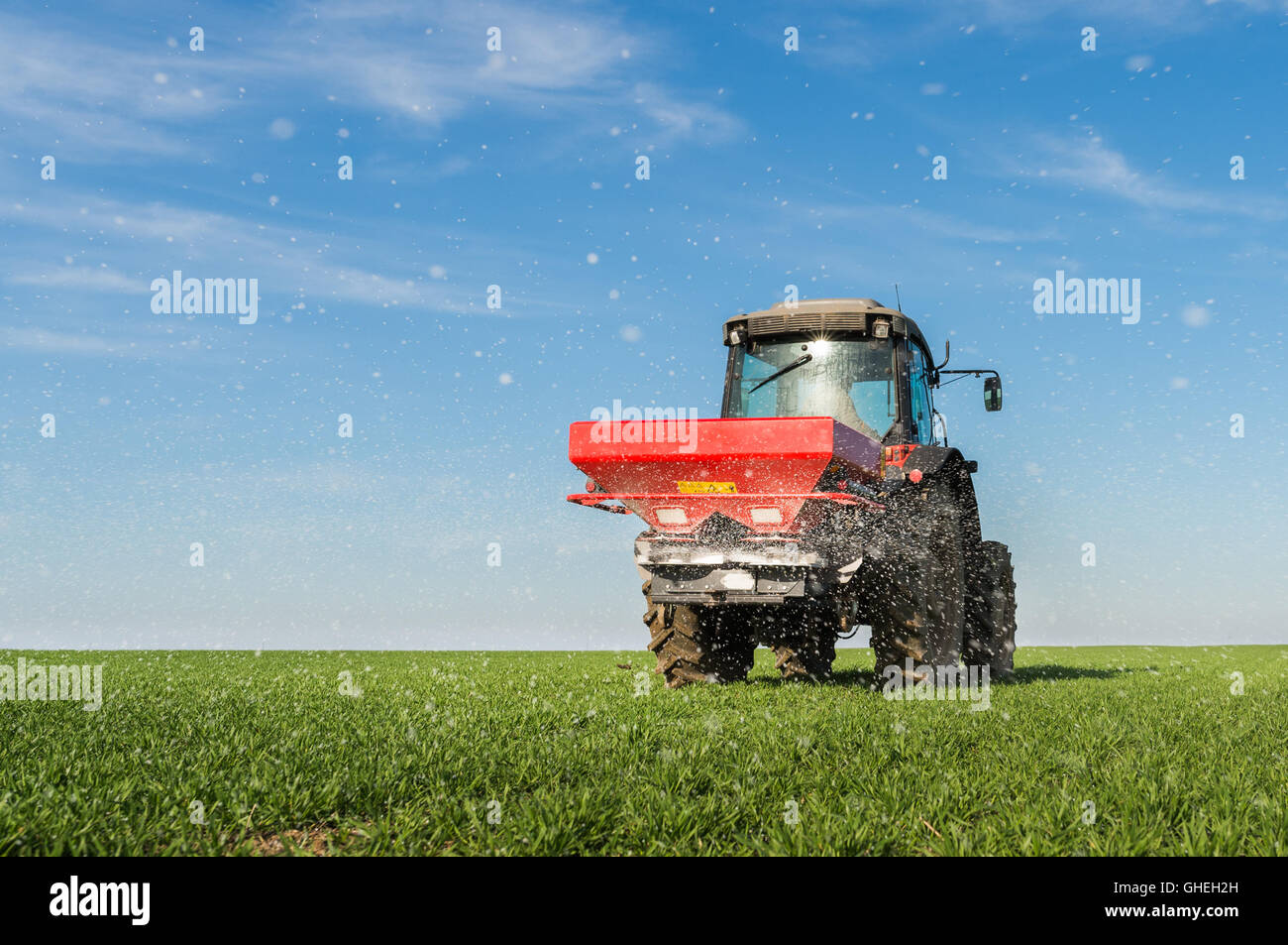 tractor fertilizing in wheat field Stock Photo - Alamy