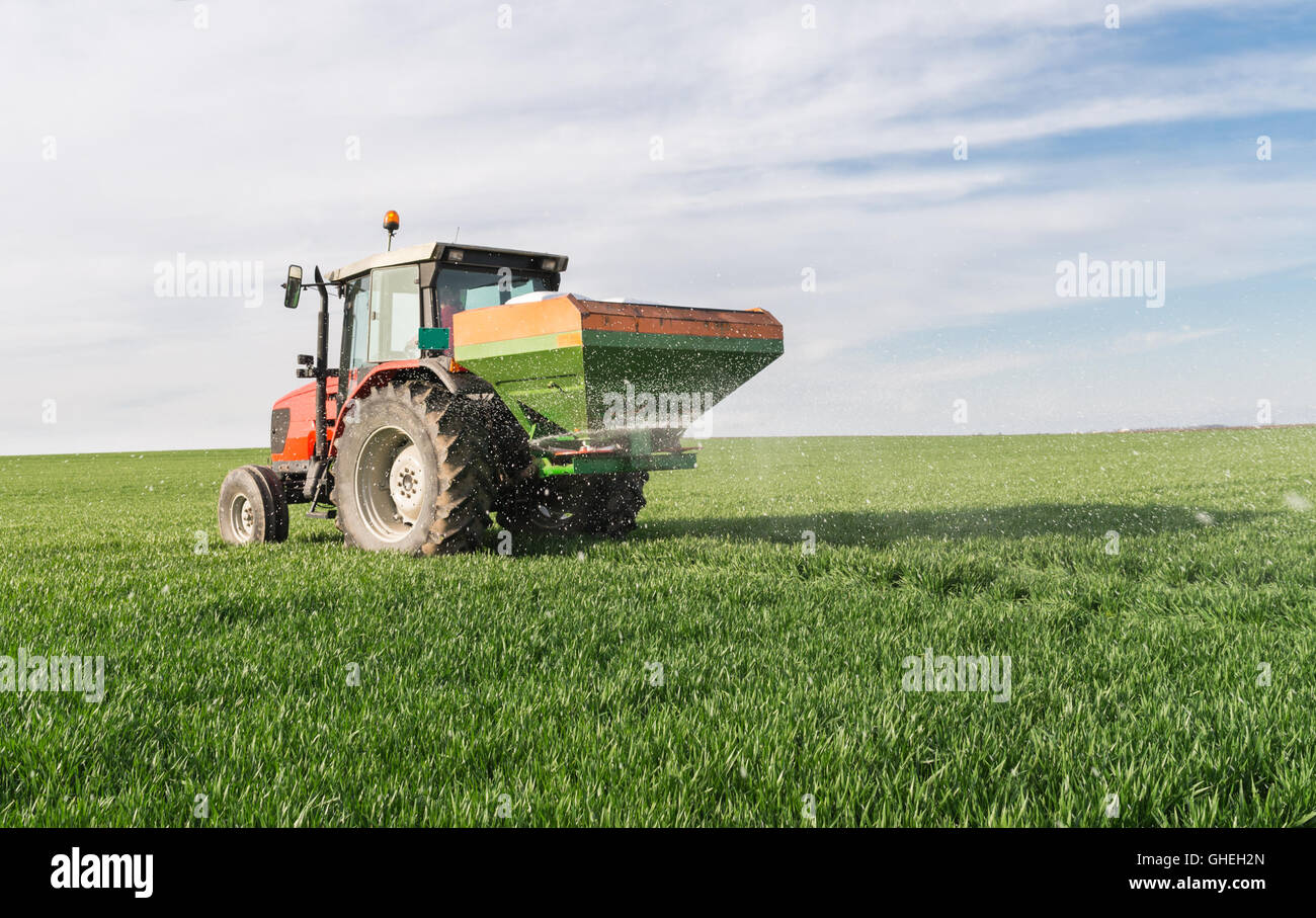 tractor fertilizing in wheat field Stock Photo - Alamy