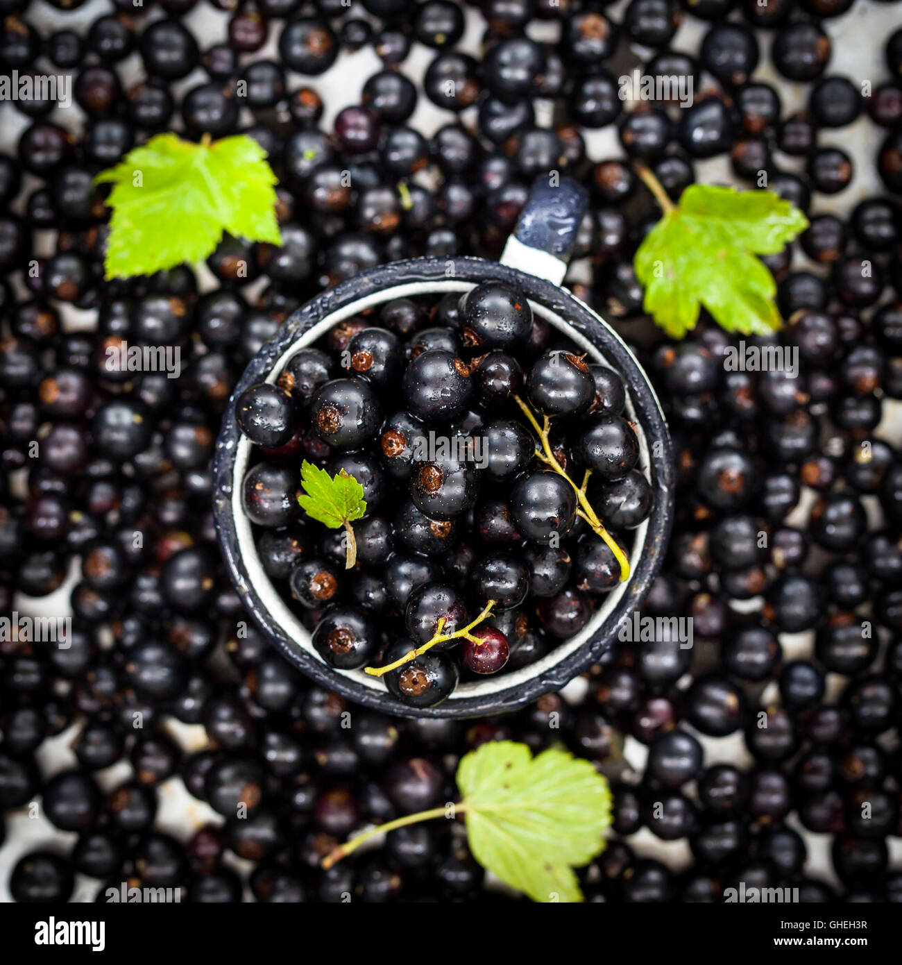 Wet currant hi-res stock photography and images - Alamy