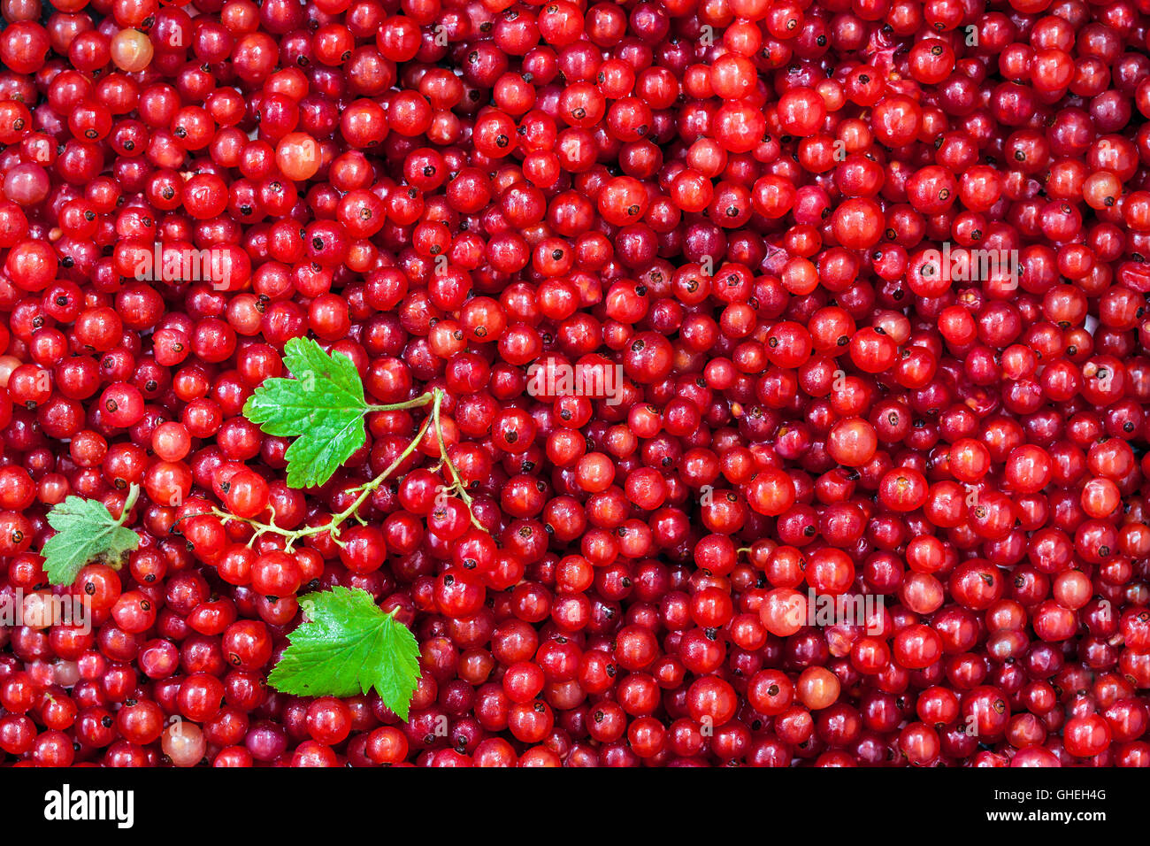 Red currant texture hi-res stock photography and images - Alamy