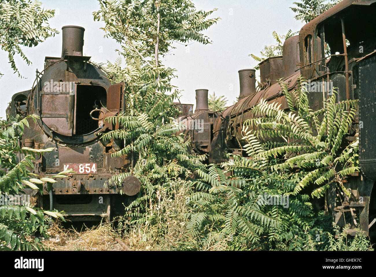 Abandoned train jungle hi-res stock photography and images - Alamy