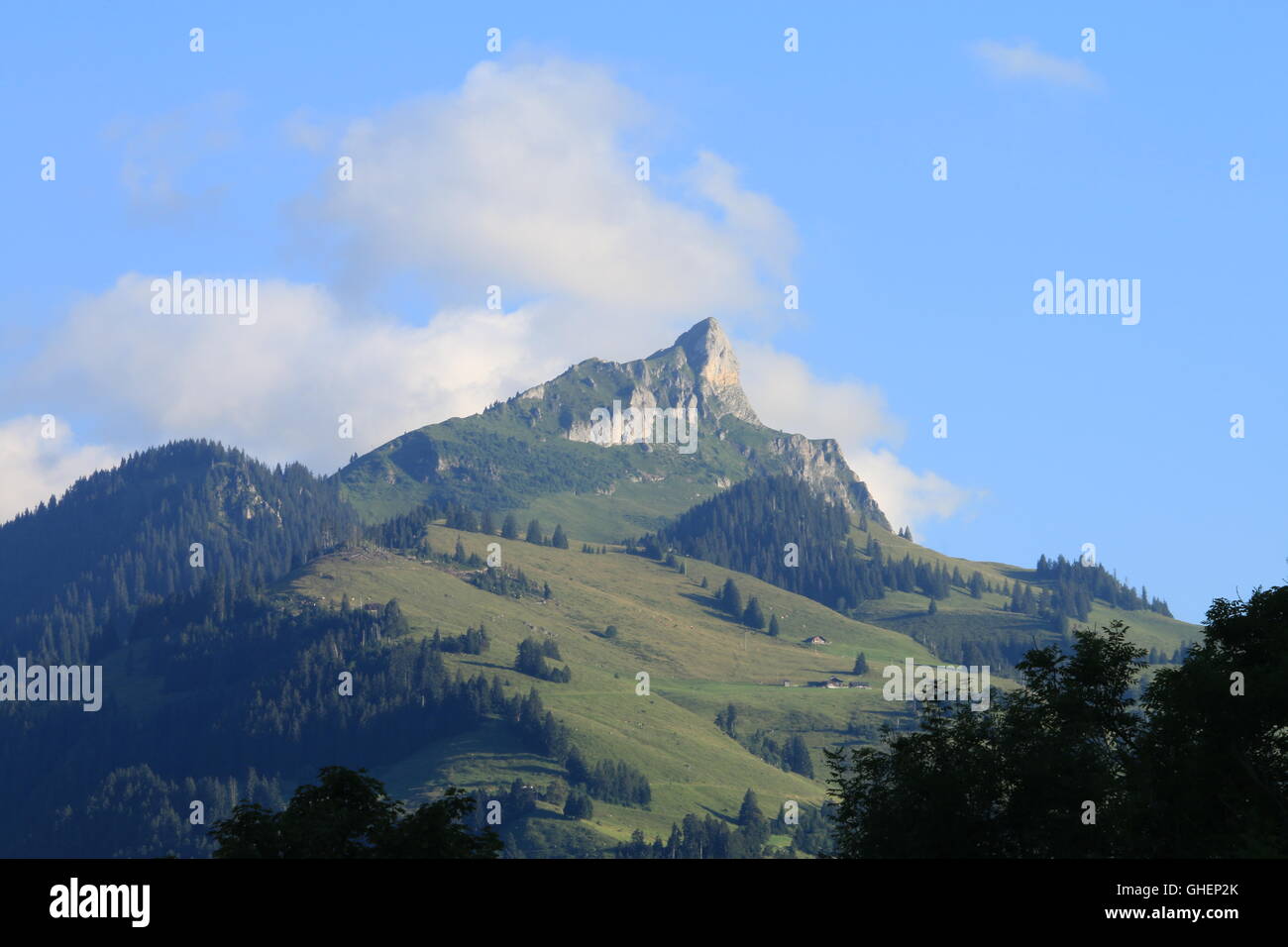 niesen, mountain, switzerland, hiking, alps Stock Photo - Alamy