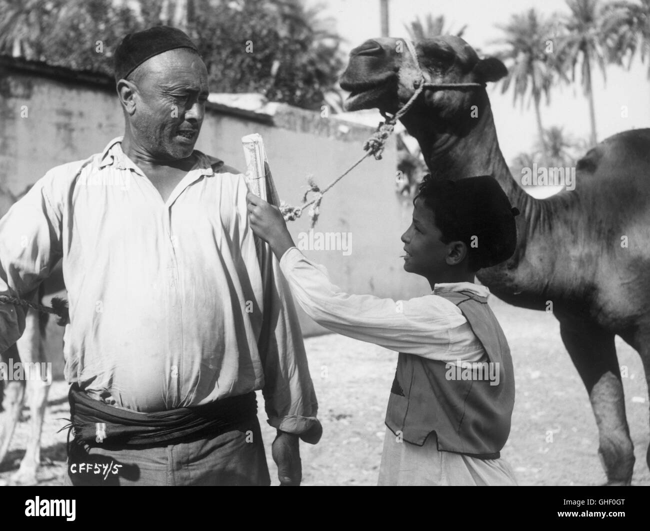 ALI AND THE CAMEL GB 1964 Henry Geddes Ali and the Camel (TV Series 1 ...