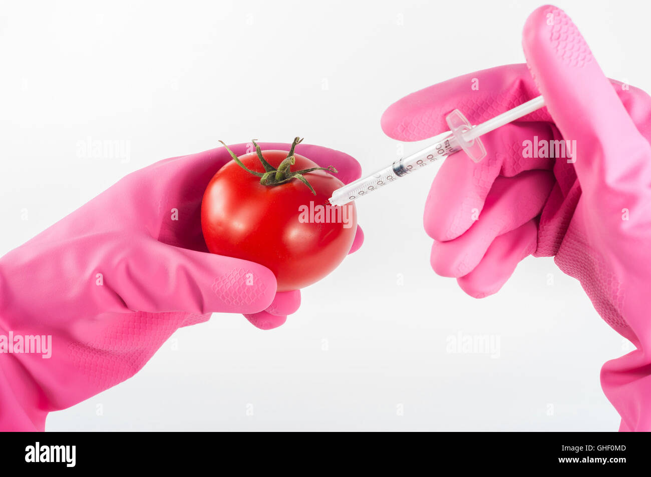 Modified tomato hi-res stock photography and images - Alamy