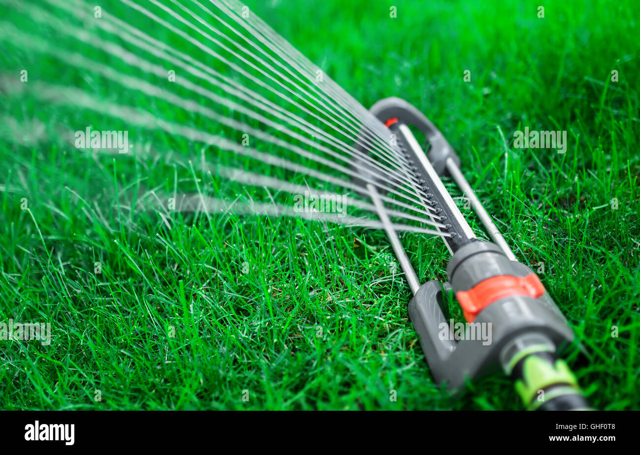 Sprinkler watering the garden, close up photo Stock Photo - Alamy