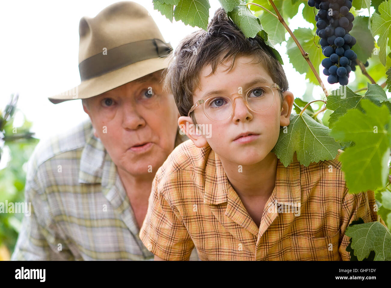 EIN GUTES JAHR A Good Year USA 2006 Ridley Scott ALBERT FINNEY as Uncle ...