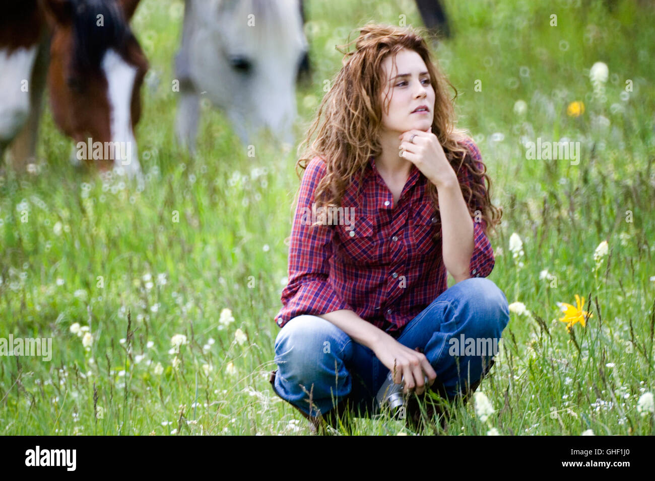 Flicka 2006 alison lohman hi-res stock photography and images - Alamy