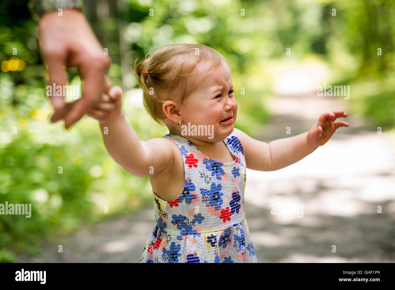 Little girl in the forest park Stock Photo - Alamy