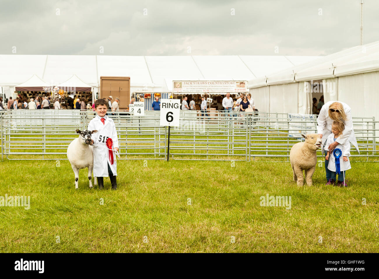 Sheep county show boy hi-res stock photography and images - Alamy