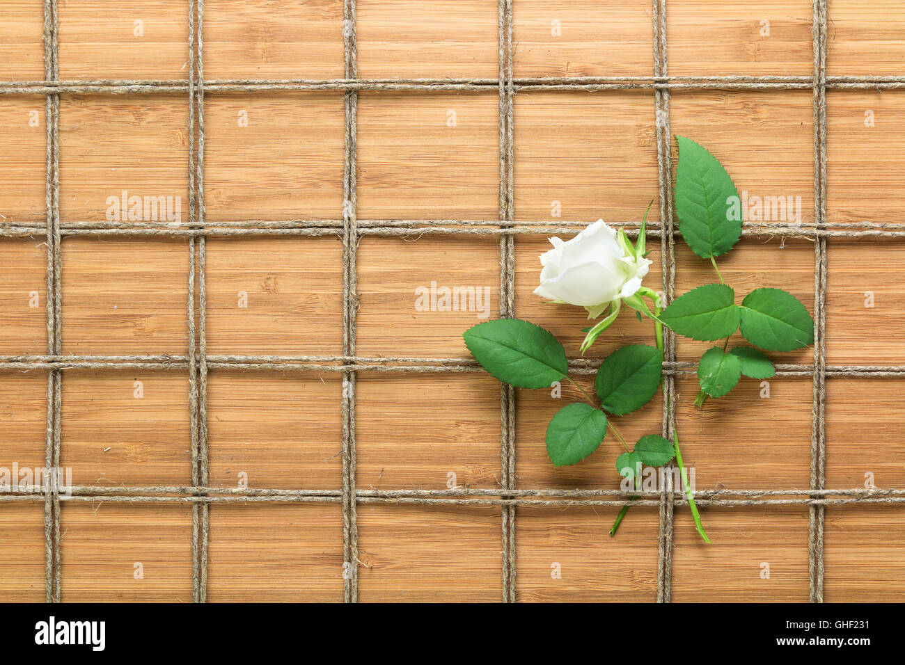 Square lined rope pattern on a wooden background and white rose with ...