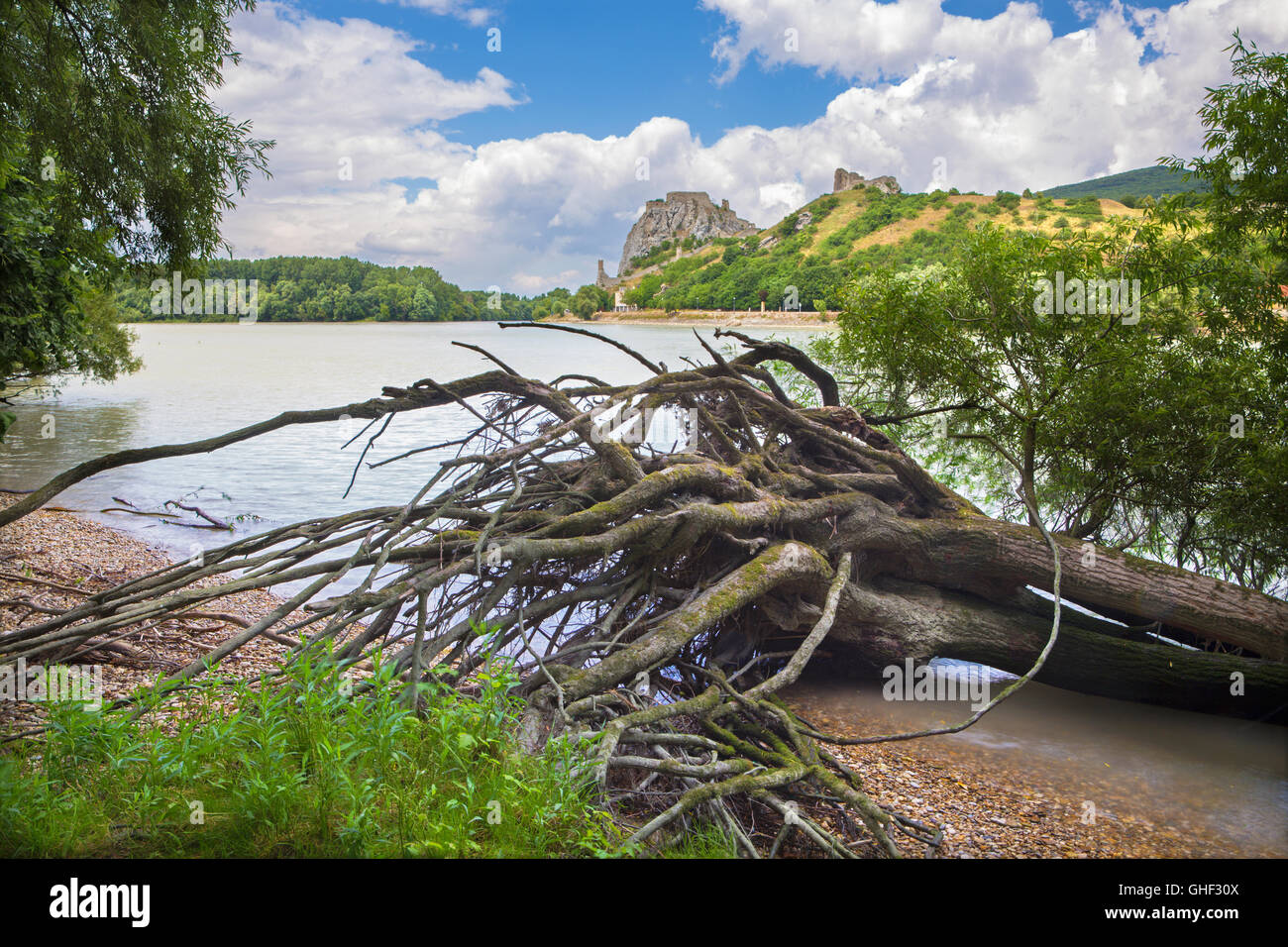 The ruins of Devin castle near Bratislava over the Danube river and the ...