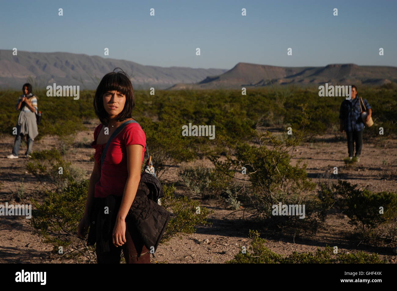 FAST FOOD NATION Fast Food Nation USA 2006 Richard Linklater Fast Food ...