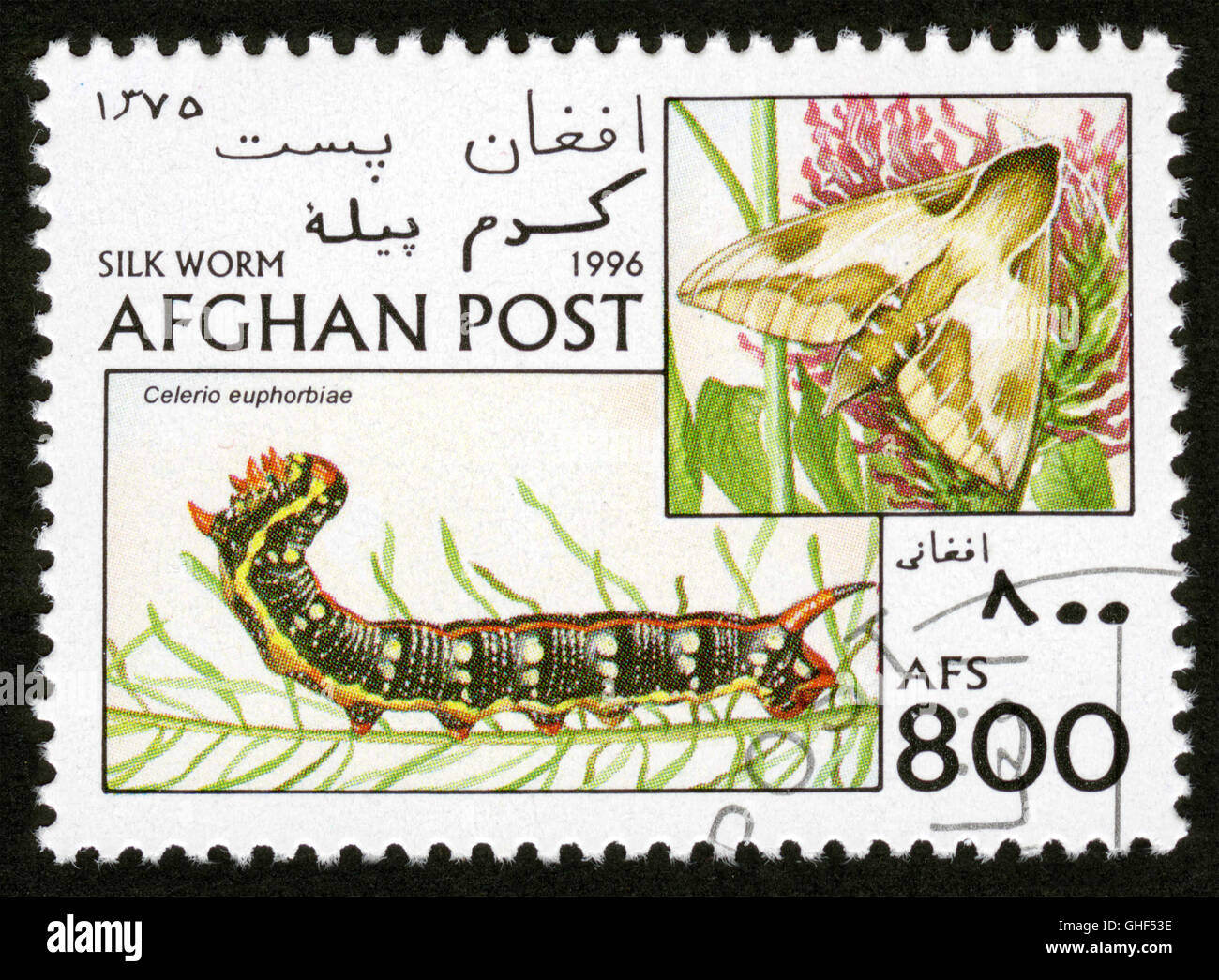 Afghanistan post stamp hi-res stock photography and images - Alamy