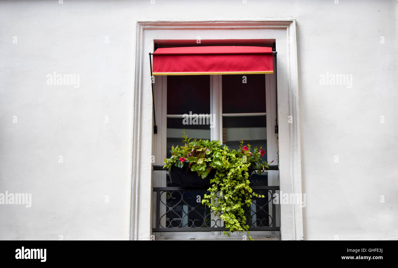 Window and flowerpot in Paris Stock Photo - Alamy