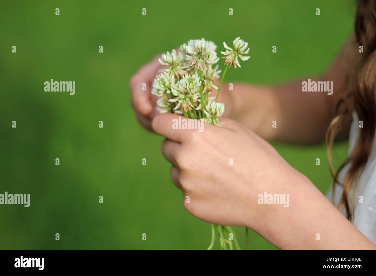 Clover bouquet hi-res stock photography and images - Alamy
