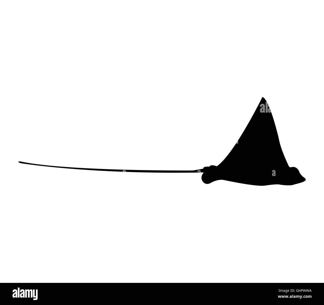 Black manta ray Cut Out Stock Images & Pictures - Alamy