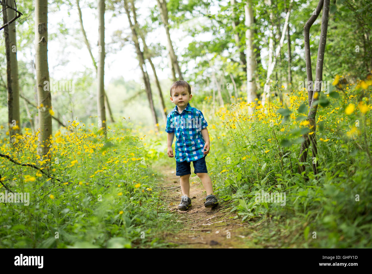 child in the forest having fun Stock Photo - Alamy